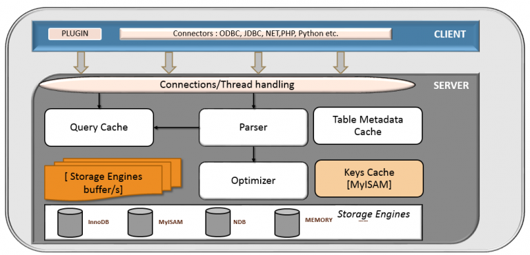 MySQL 体系架构_MySQL 体系架构简介_MySQL 存储引擎_MySQL 架构_MySQL 的软件架构-树懒学堂